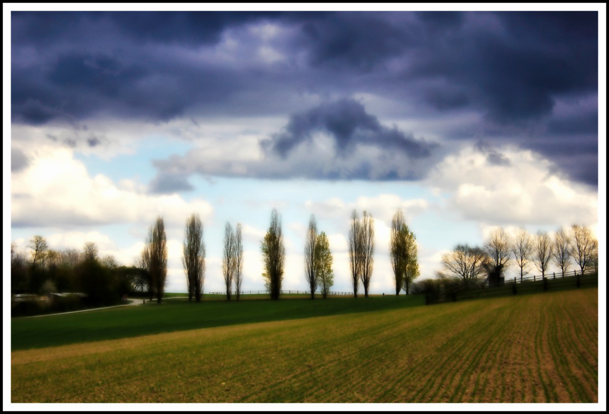 Trees – Random Note Generator